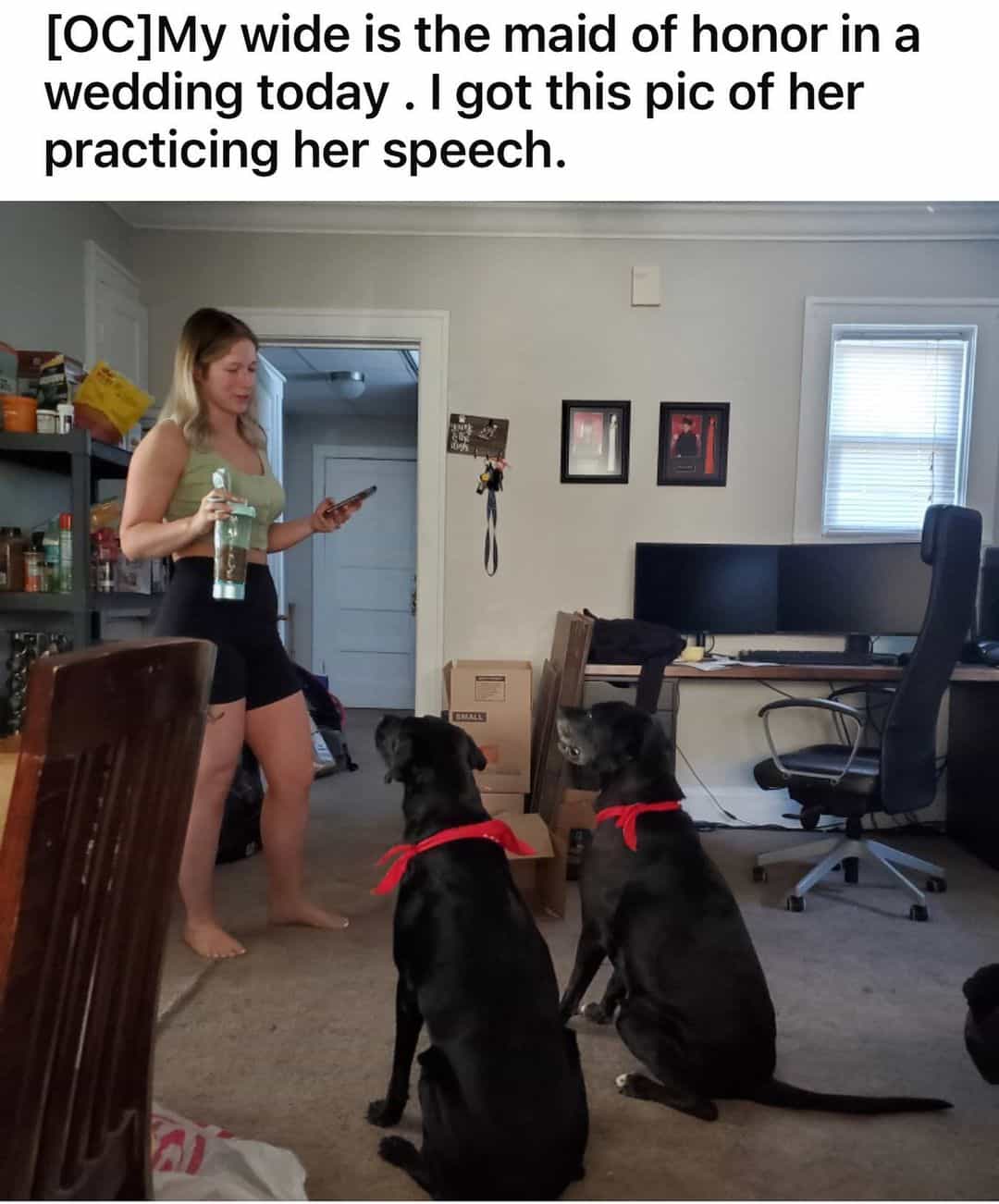 Funny Daily Memes-126 - Thunder Dungeon | The Funniest Memes. Period.