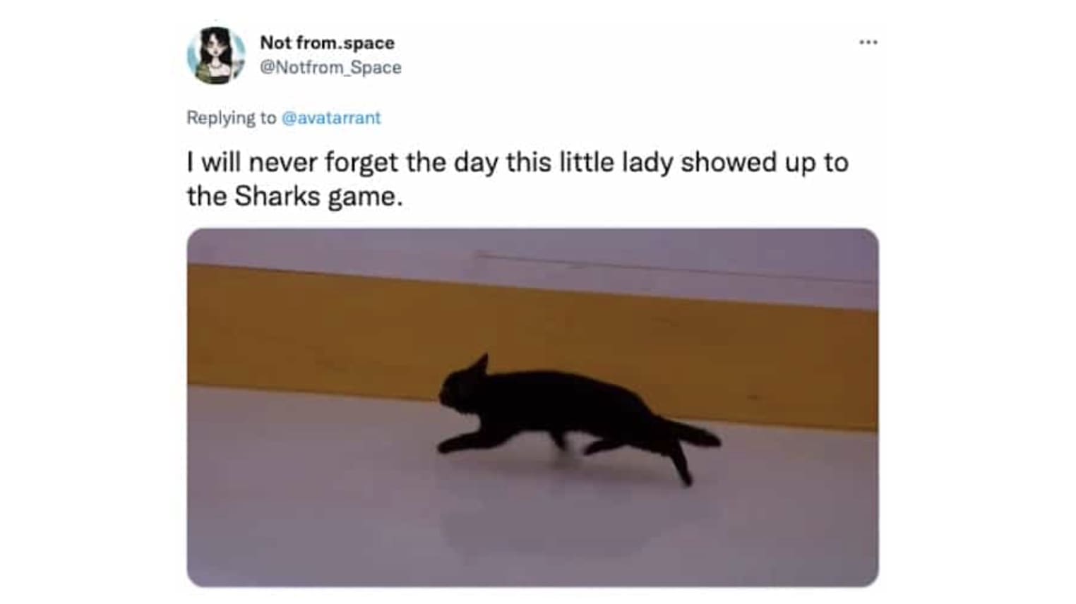 21 Animals wreaking havoc and causing mayhem