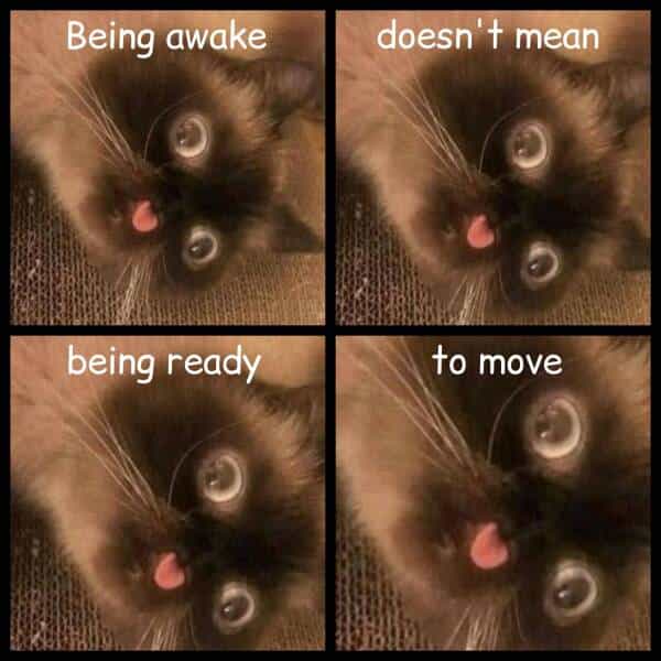 [MEME GALLERY] The Nightcap - The funniest memes from today (30 Photos)