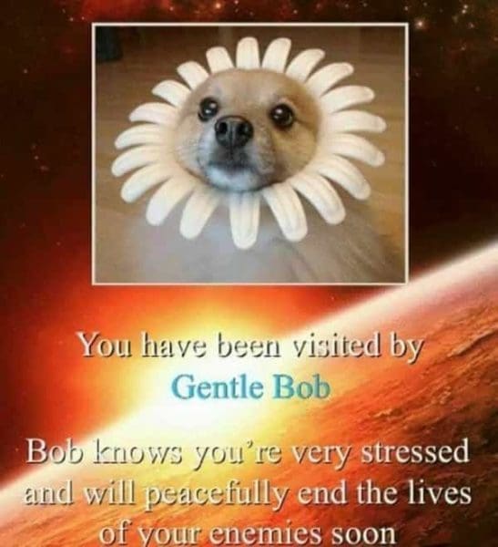 30 Ominously positive memes that will make you feel... okay.