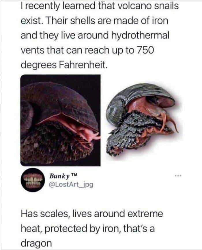 Science Memes-20-08-29-2022 - Thunder Dungeon | The Funniest Memes. Period.