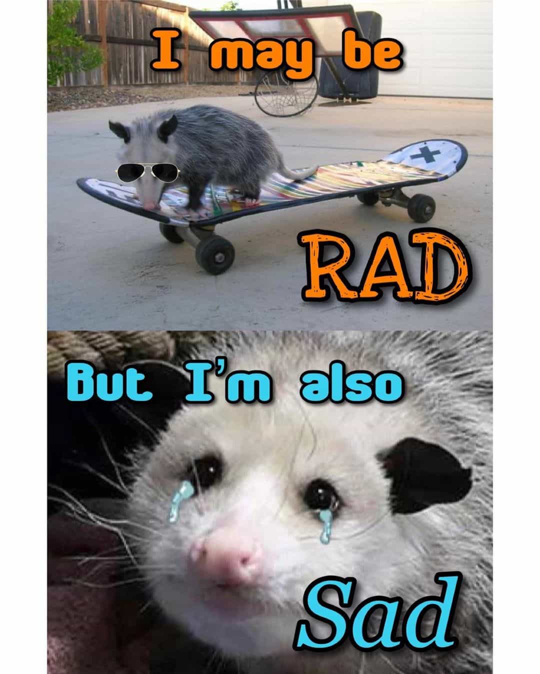 Daily funny memes-132-09-07-2022 - Thunder Dungeon | The Funniest Memes ...