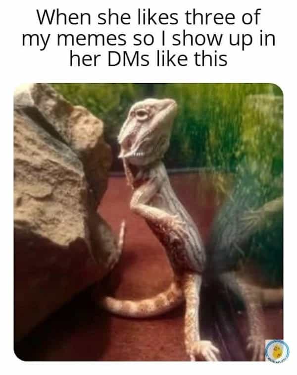 [30 MEMES] The Midday Meal - Your lunch break meme fix