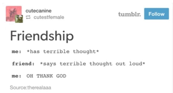 Funny Meme Quotes Tumblr
