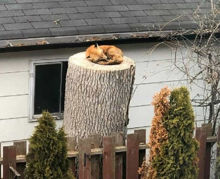 IT nightmare memes-04-09-21-2022 - Thunder Dungeon | The Funniest Memes ...