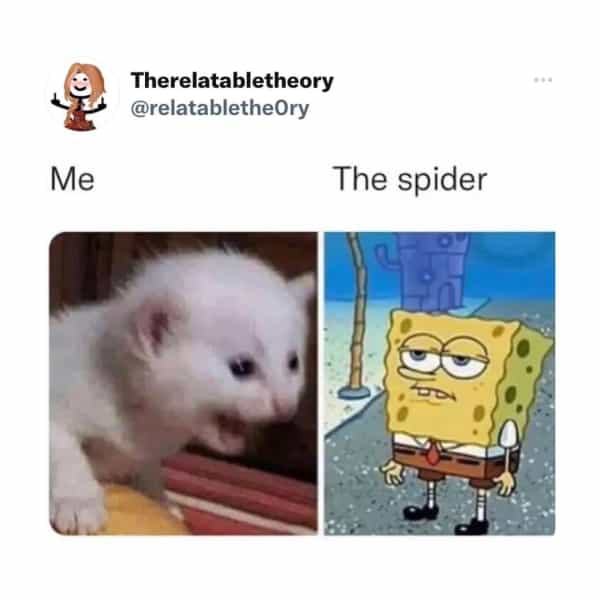 30 Memes all the ladies out there will relate to