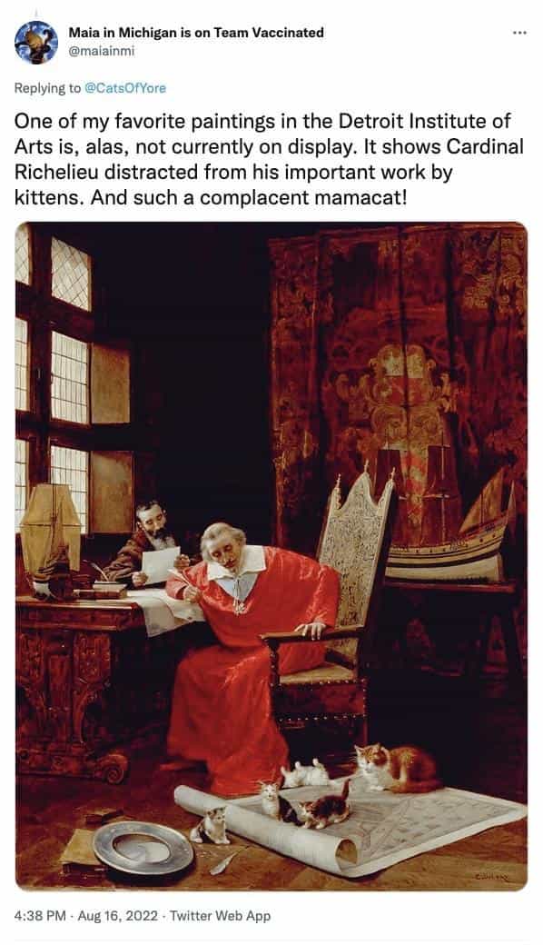 cats destroying things-12-09-04-2022 - Thunder Dungeon | The Funniest ...