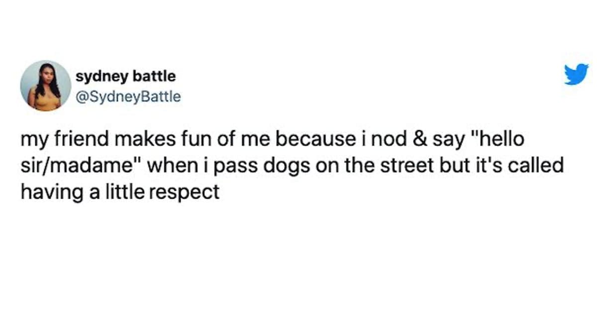 34 Pet related memes that are worthy of a cute chuckle