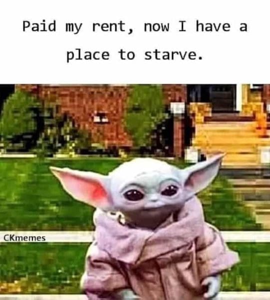 30 Broke memes that will make you feel better about having sleep for dinner
