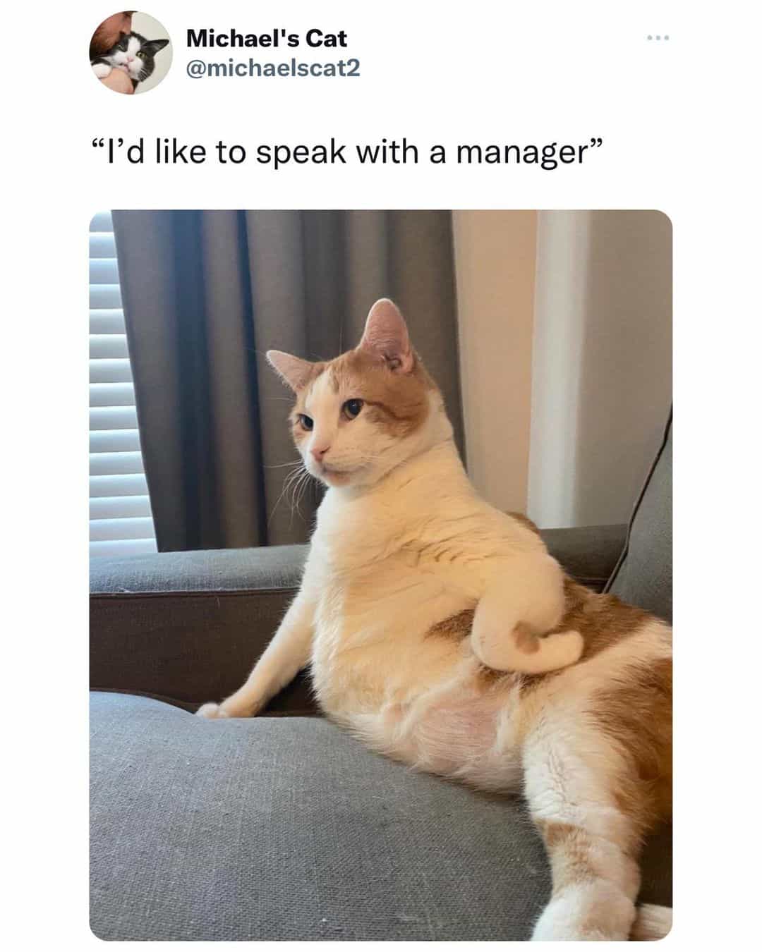 Daily funny memes-26-10-04-2022 - Thunder Dungeon | The Funniest Memes ...