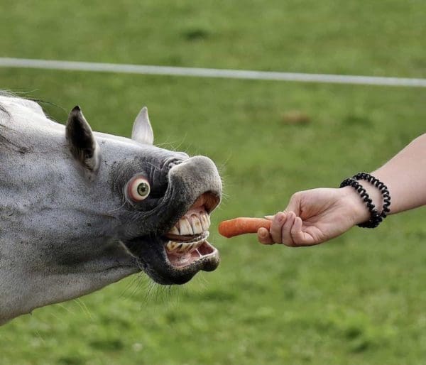 [30 MEMES] Weekend Resuscitation - Your fresh evening meme drop