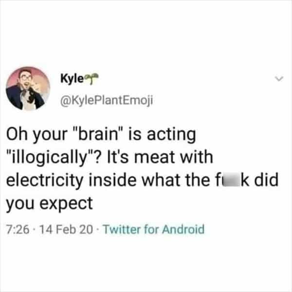 34 Naturally occurring memes about nature in all its majesty
