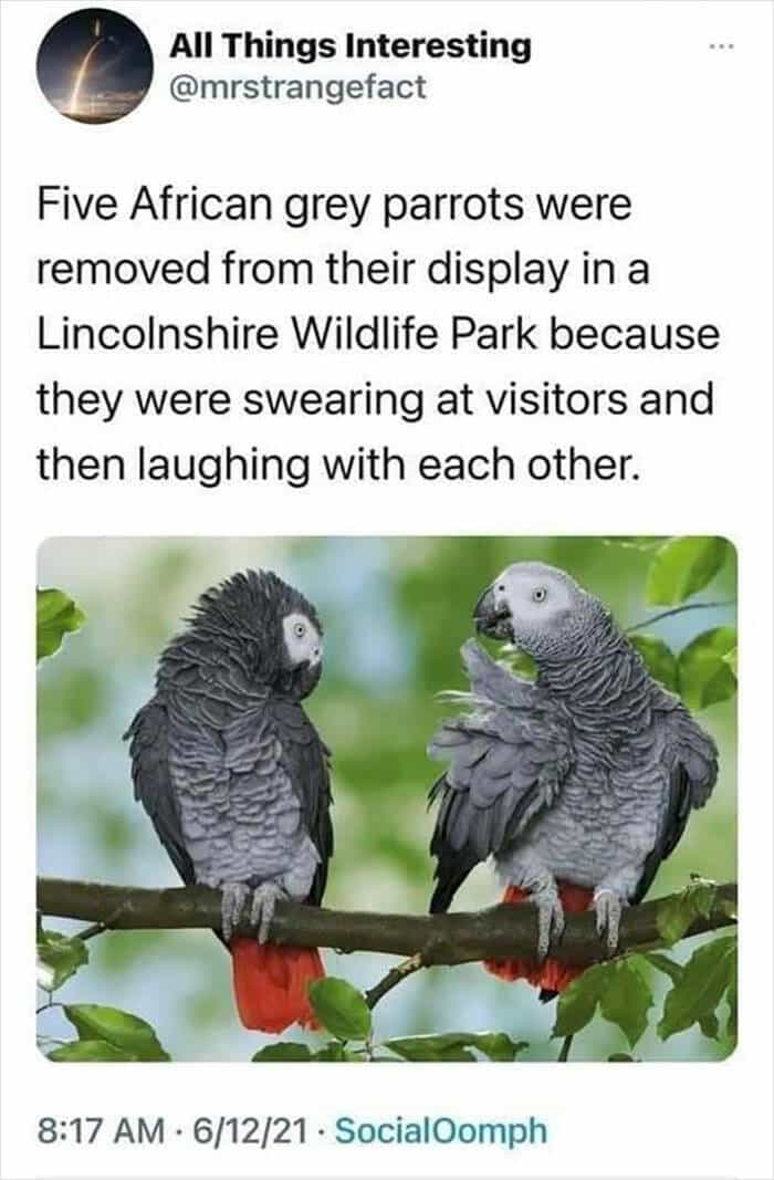 Natural memes-14-10-06-2022 - Thunder Dungeon | The Funniest Memes. Period.