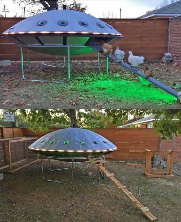 Natural memes-23-10-06-2022 - Thunder Dungeon | The Funniest Memes. Period.