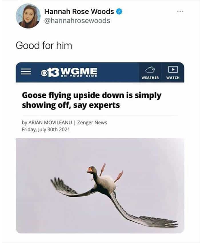 Natural memes-26-10-06-2022 - Thunder Dungeon | The Funniest Memes. Period.