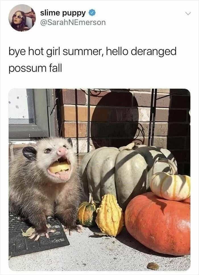 Natural memes-30-10-06-2022 - Thunder Dungeon | The Funniest Memes. Period.