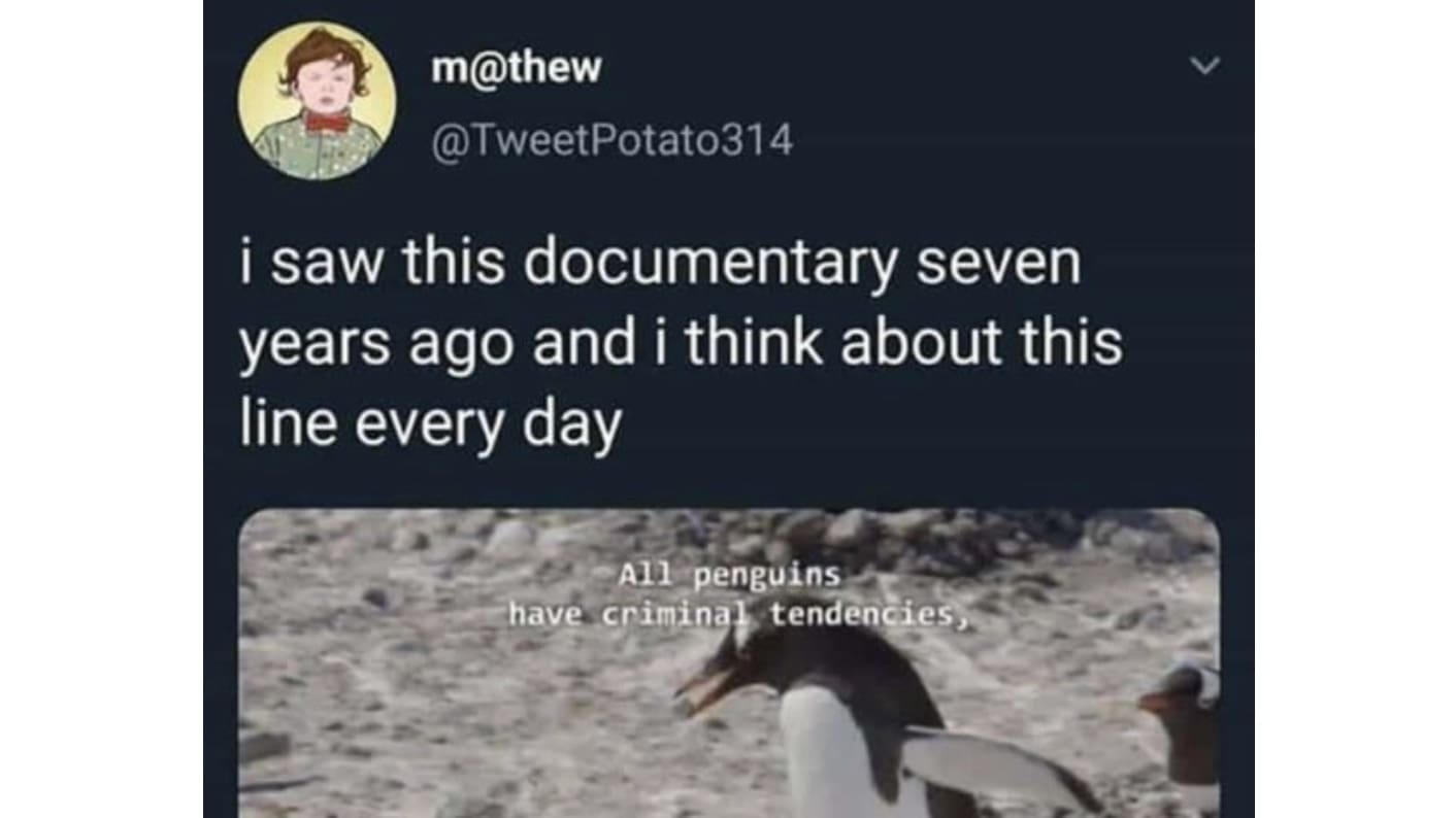 34 Naturally occurring memes about nature in all its majesty