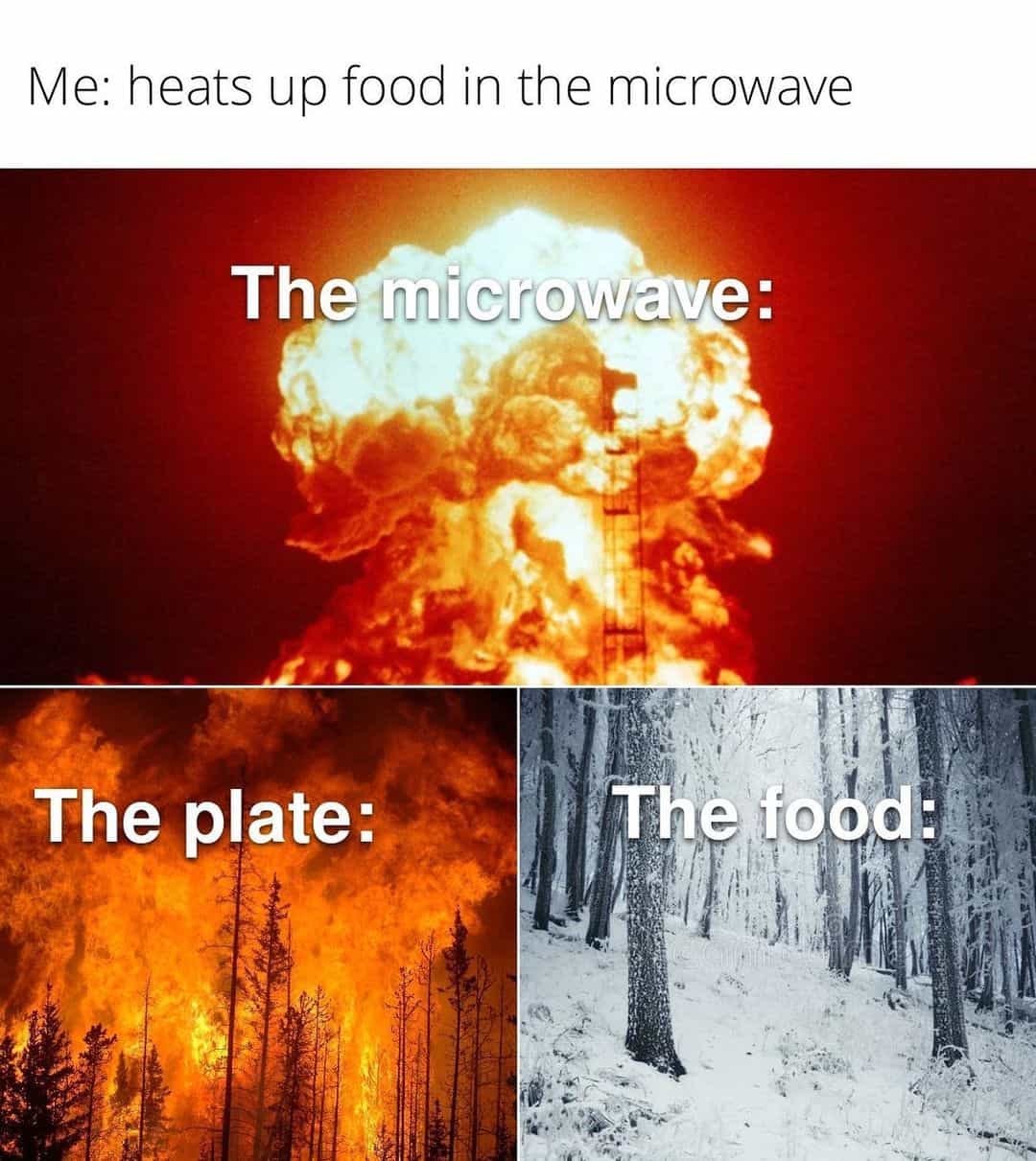 funniest memes of all time-104-10-18-2022 - Thunder Dungeon | The ...