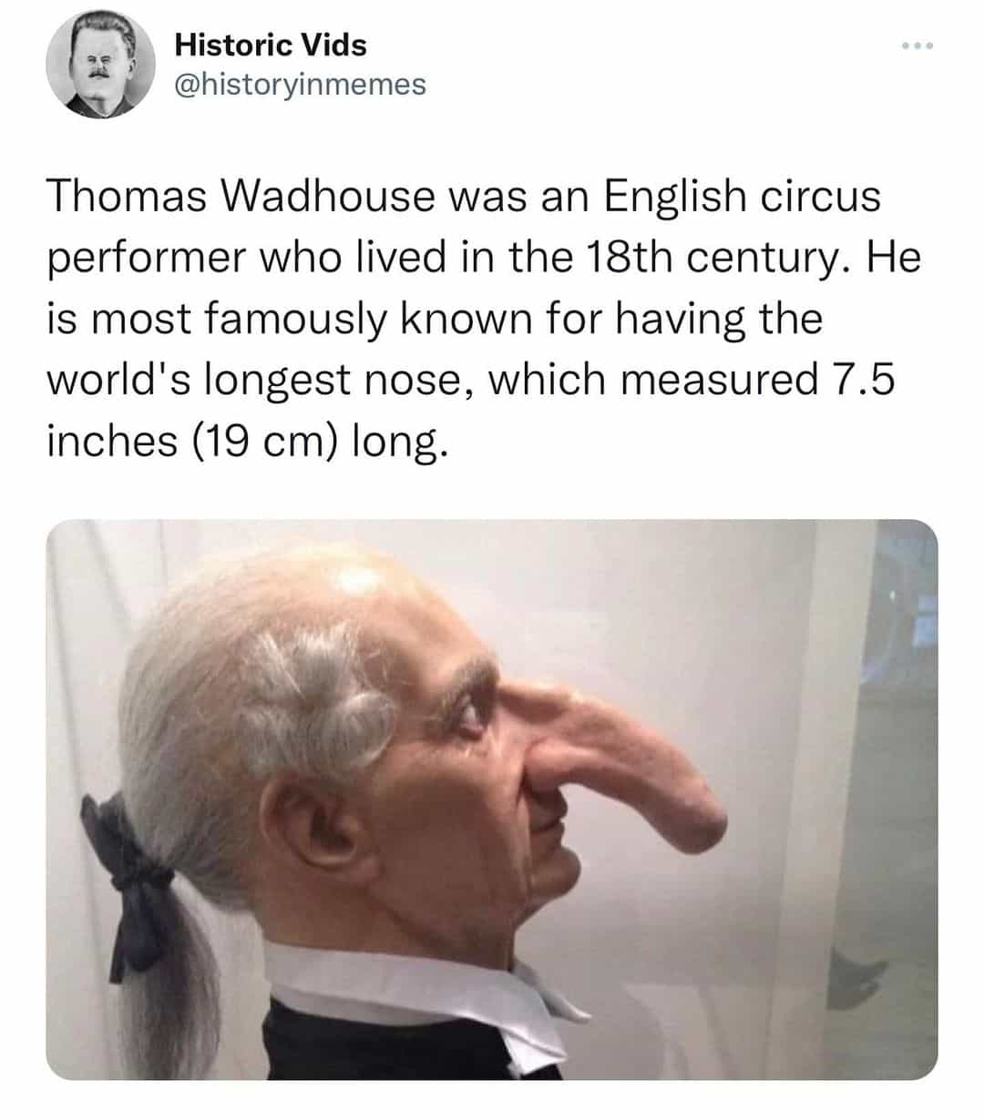 Funniest memes of all time-152-11-14-2022 - Thunder Dungeon | The ...