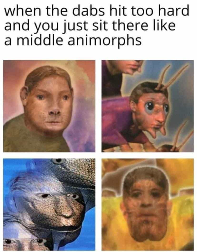 Funniest memes of all time-98-11-17-2022 - Thunder Dungeon | The ...