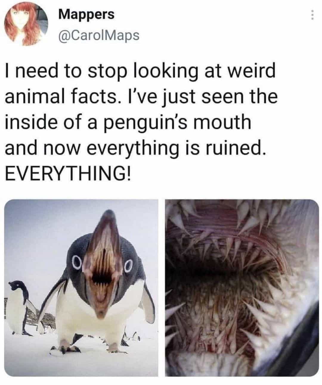 Funniest memes of all times-119-11-10-2022 - Thunder Dungeon | The ...