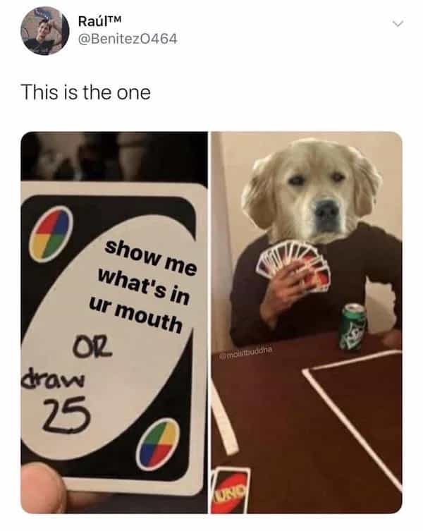 [25 MEMES] The Midday Meal - Serving up fresh memes for lunch