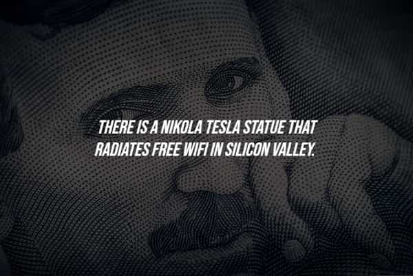 15 Random facts as interesting as they are random