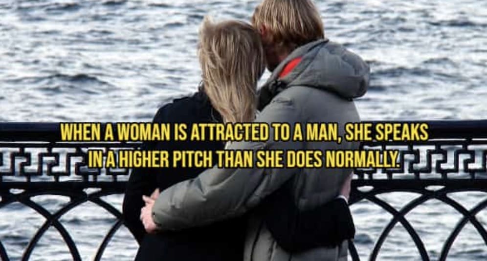 15 Factoids as Random as They Are Interesting