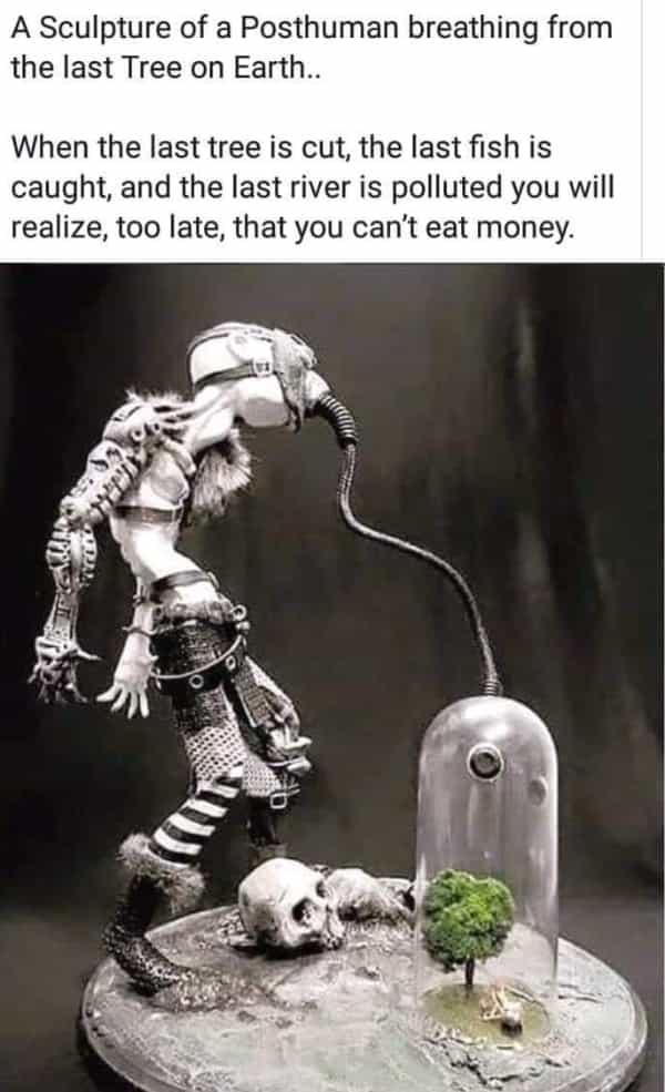 20 Super deep memes us normies couldn't possibly understand