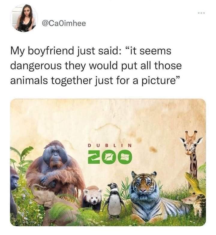 classic funny meme dup-29-20221125 - Thunder Dungeon | The Funniest ...