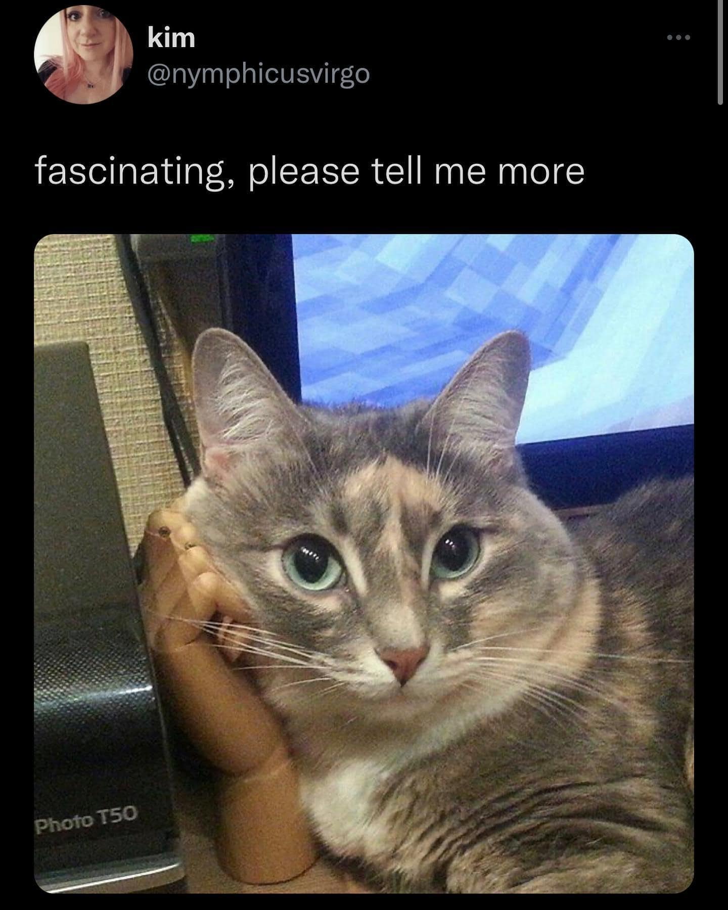 classic funny meme dup-30-20221125 - Thunder Dungeon | The Funniest ...