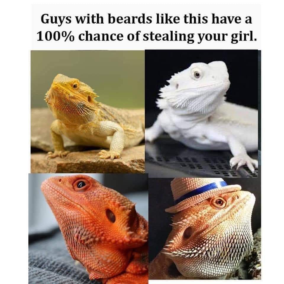 classic funny meme dup-40-20221125 - Thunder Dungeon | The Funniest ...