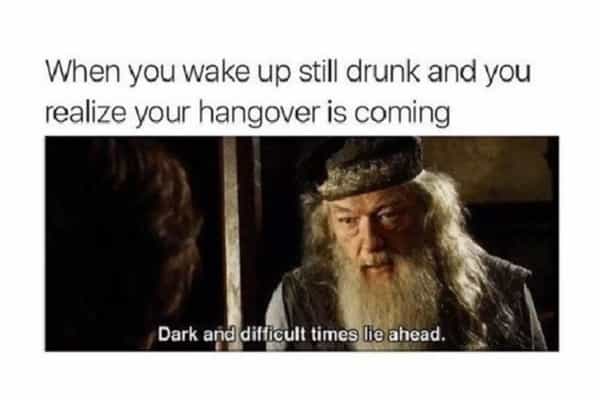 25 Hangover memes you won't regret (...as much as you regret everything ...