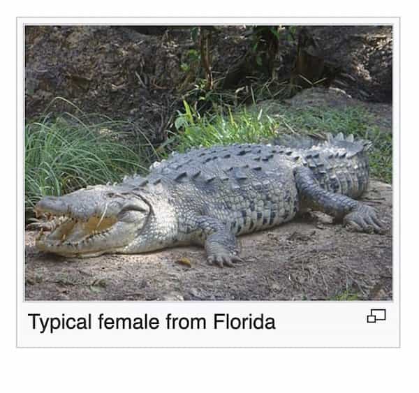 25 of the Most Random Things on Wikipedia