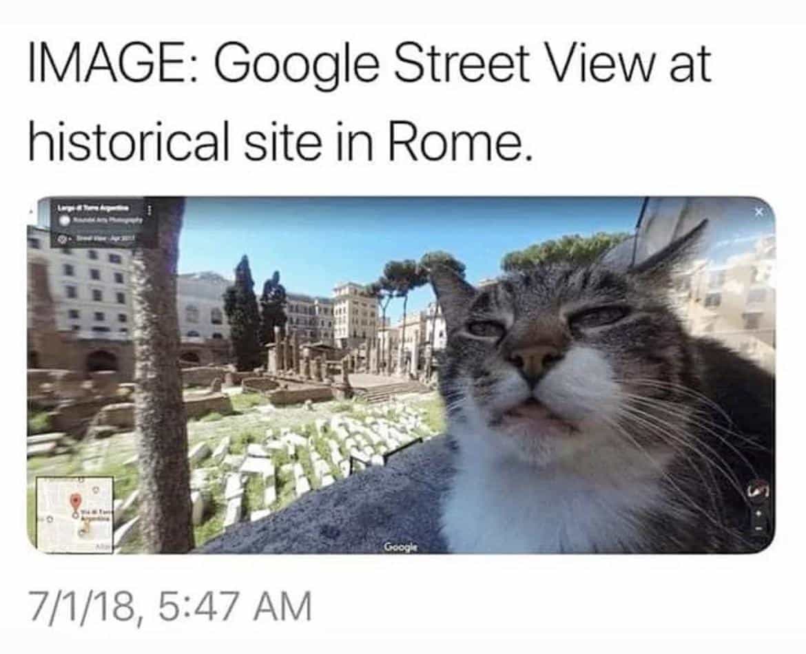 Funniest memes of all time-115-12-19-2022 - Thunder Dungeon | The ...