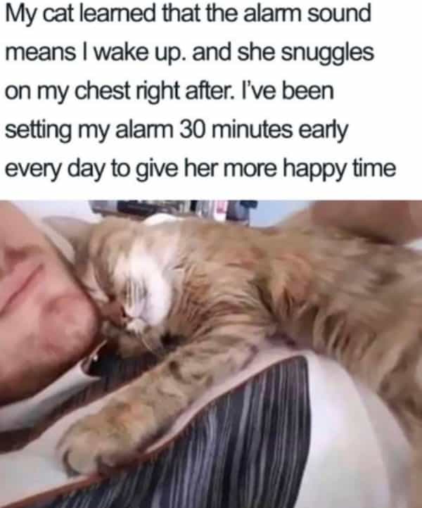 25 Wholesome Memes That Will Make You Feel Better About the World