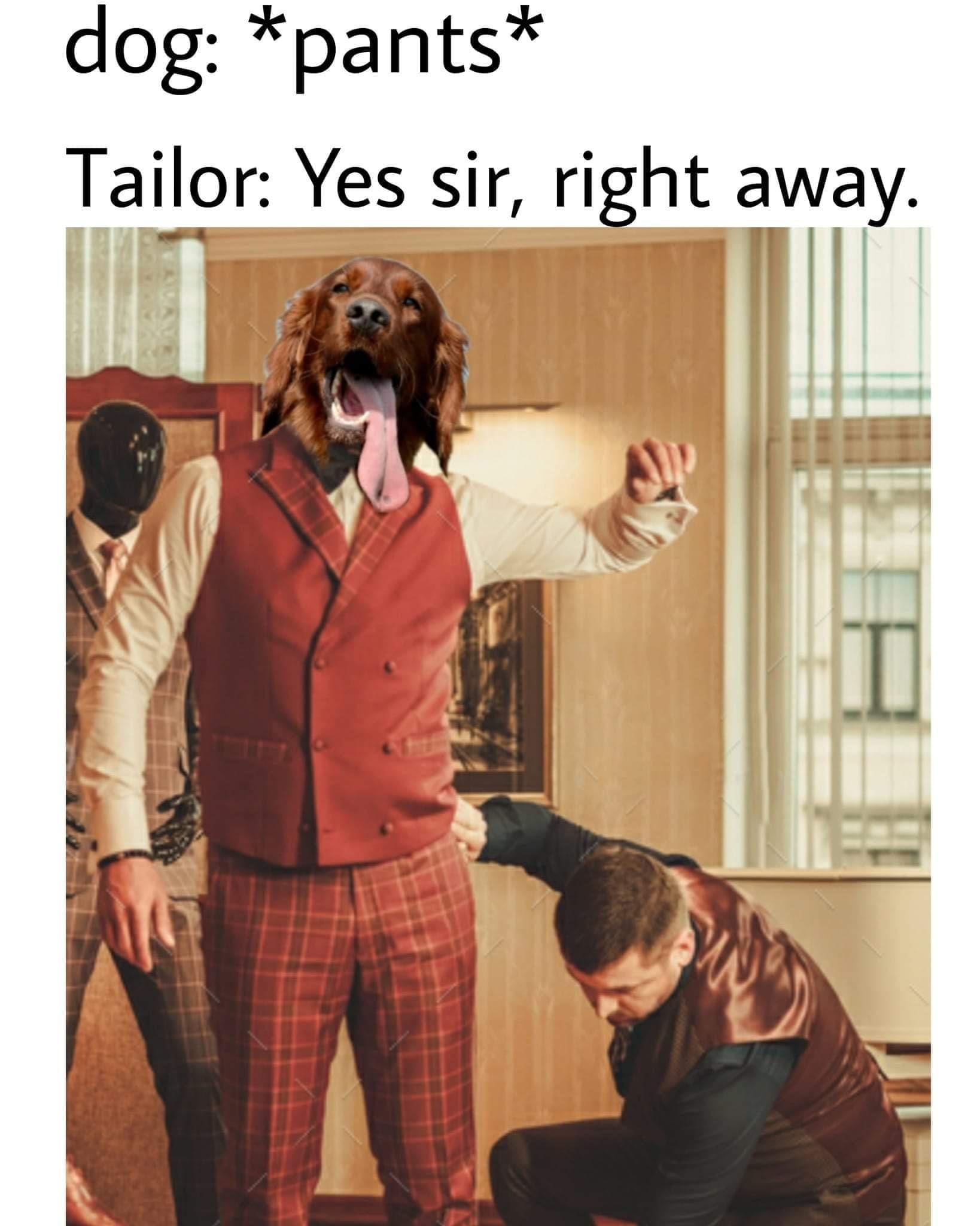 daily dump of memes-14-20221226 - Thunder Dungeon | The Funniest Memes ...