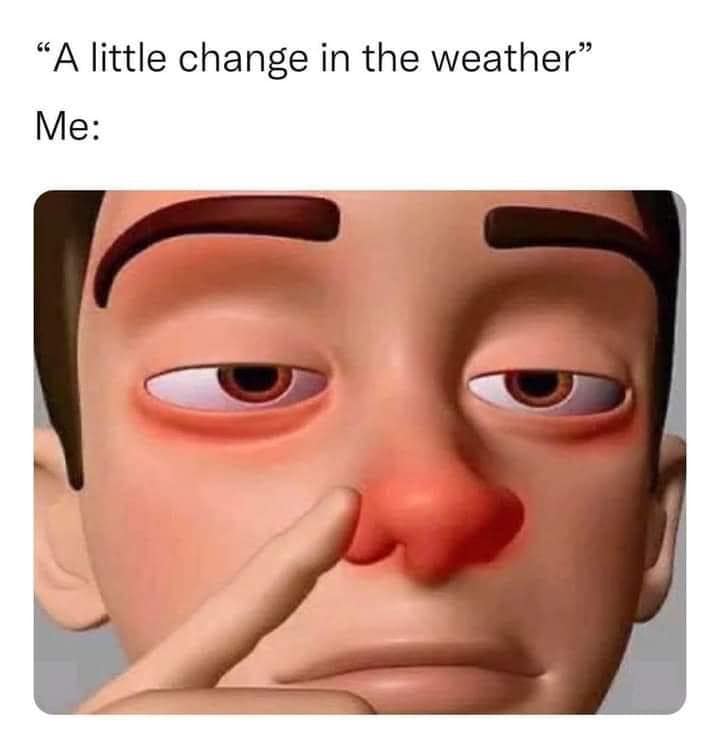 true relatable memes-20-20221231 - Thunder Dungeon | The Funniest Memes ...