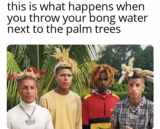 Funniest memes of all time-122-01-25-2023 - Thunder Dungeon | The ...