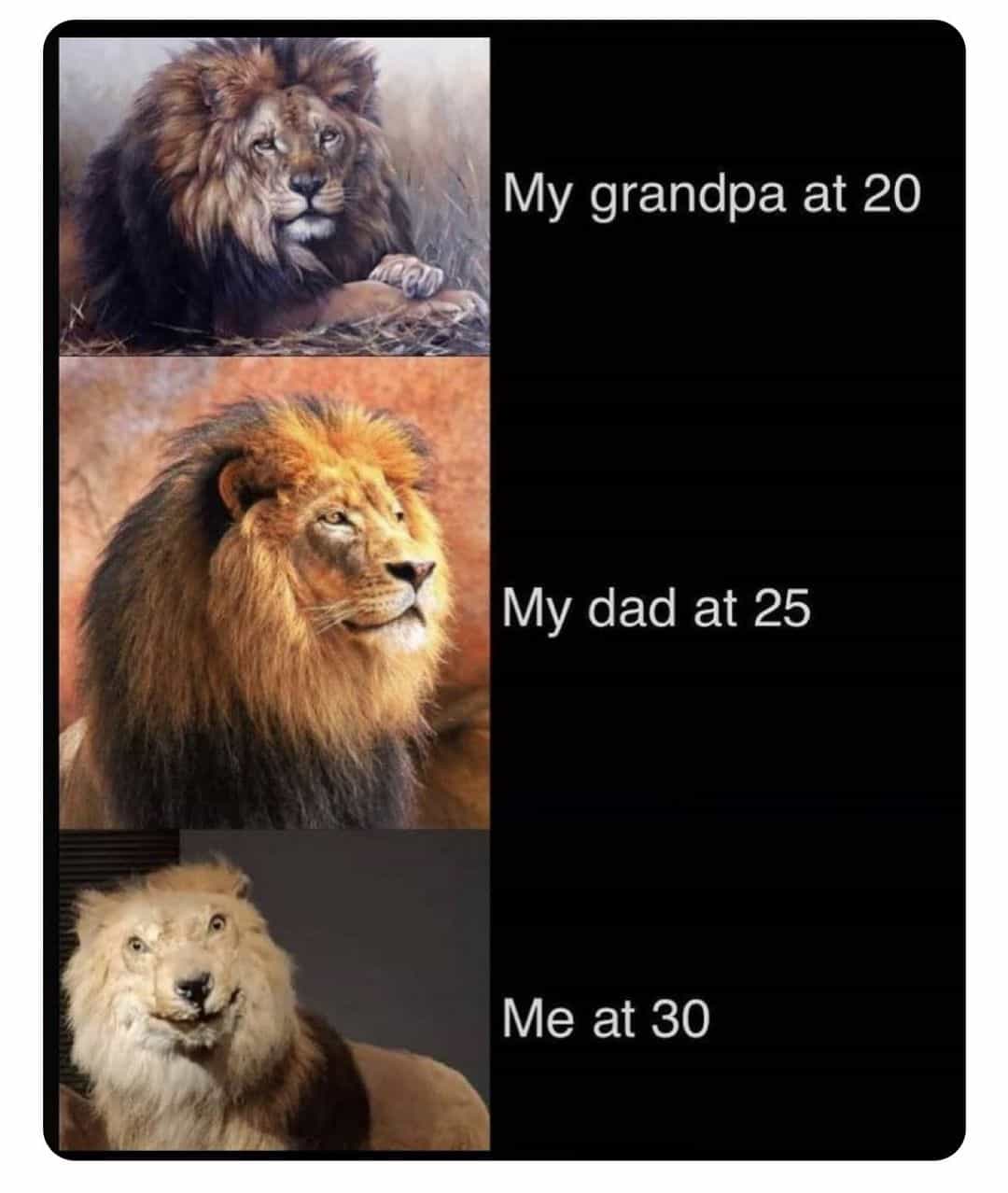 Funniest memes of all time-153-01-15-2023 - Thunder Dungeon | The ...