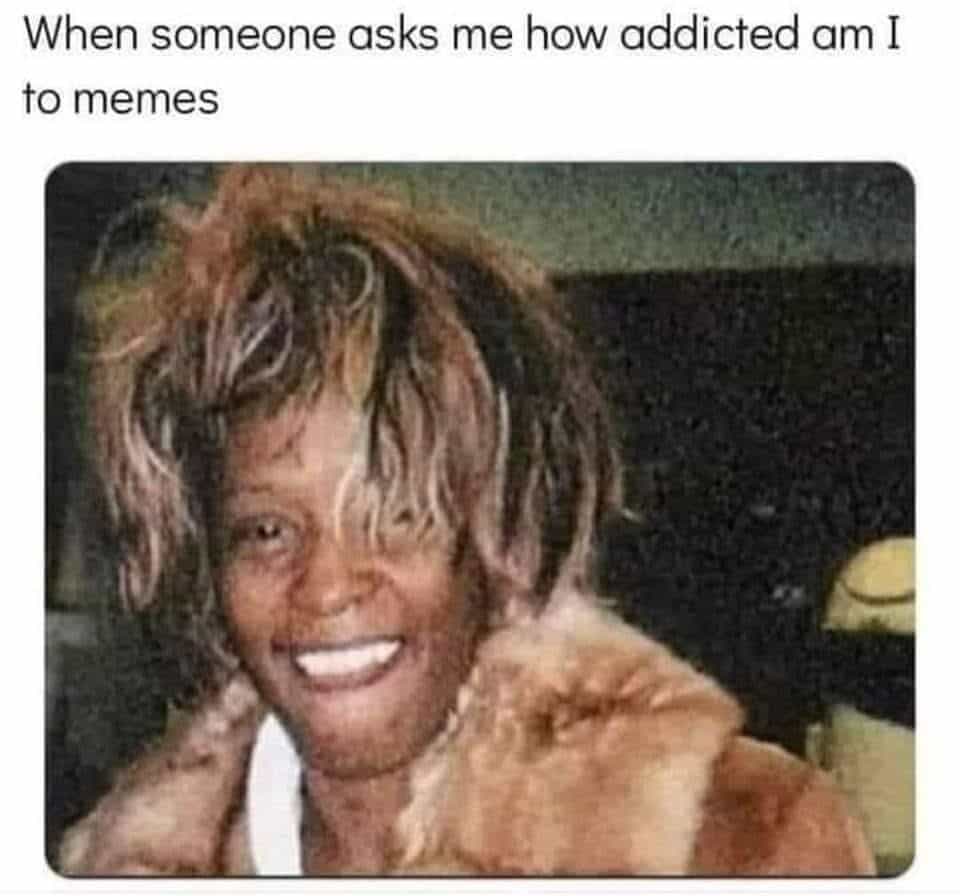 Funniest memes of all time-37-01-18-2023 - Thunder Dungeon | The ...