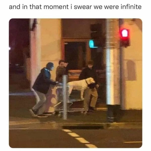 [25 MEMES] The Nightcap - The funniest memes from today (Meme Gallery)