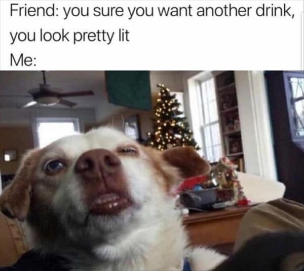 35 Boozy memes for everyone wavering on their dry January
