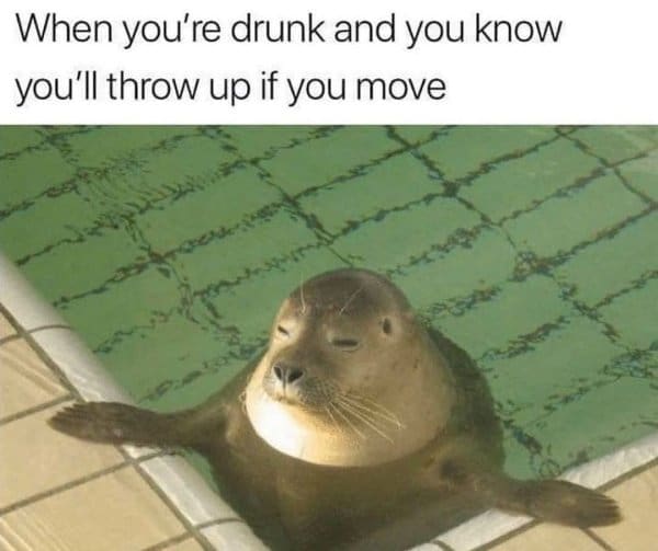 35 Boozy memes for everyone wavering on their dry January
