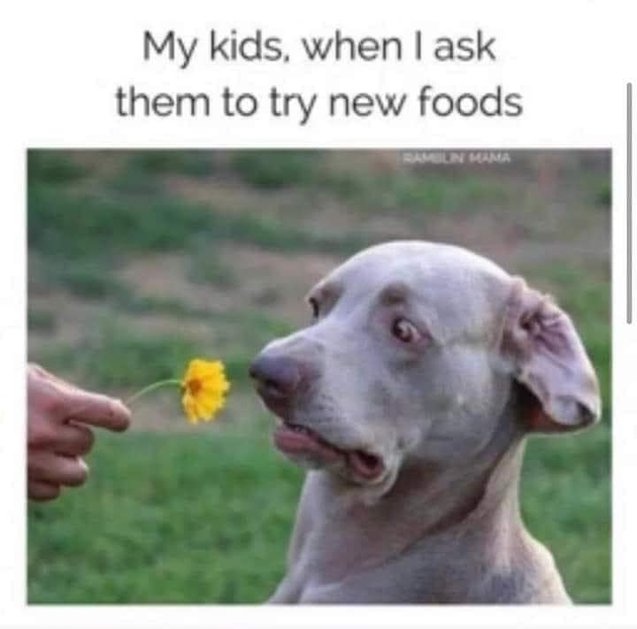 daily relatable memes-16-20230102 - Thunder Dungeon | The Funniest ...