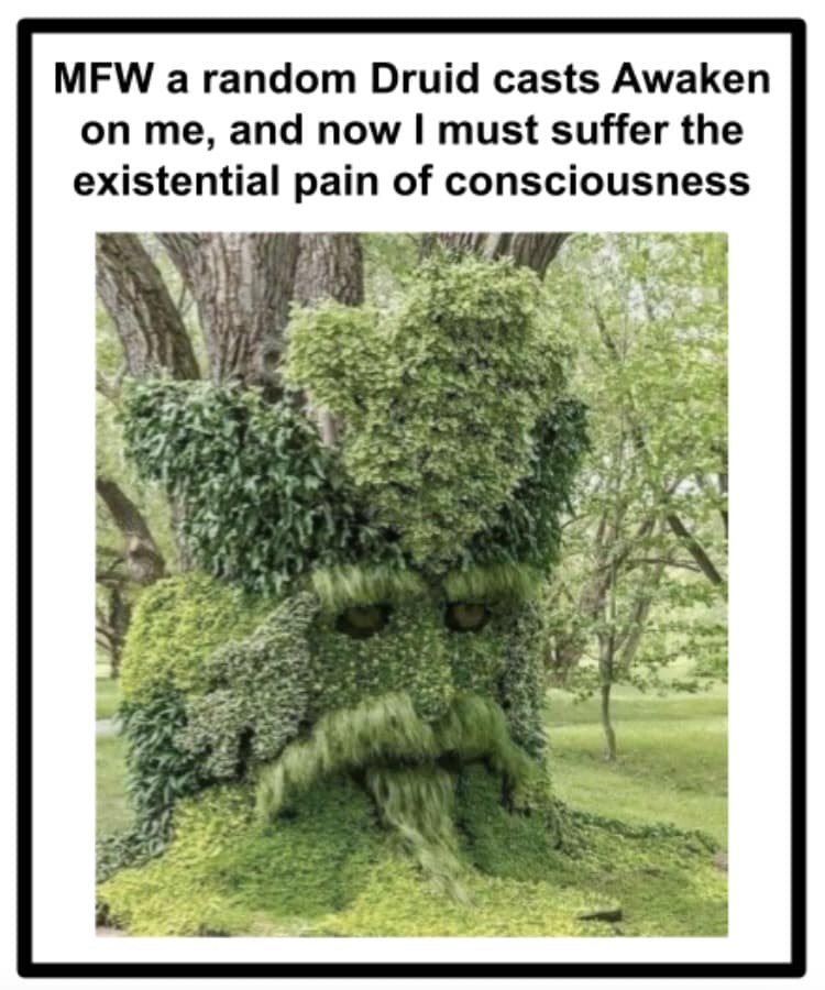 dnd meme dump-18-20230120 - Thunder Dungeon | The Funniest Memes. Period.