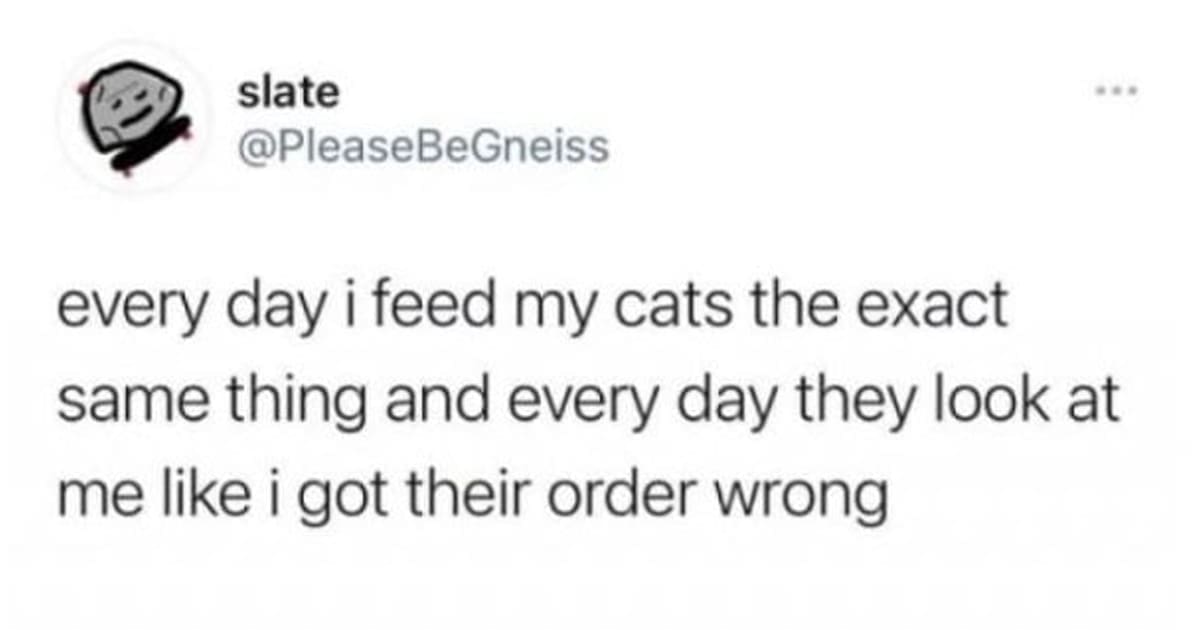 [30 MEMES] It's funny because it's true - the most relatable memes on ...