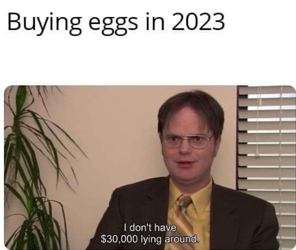 funniest daily memes-96-20230104 - Thunder Dungeon | The Funniest Memes ...