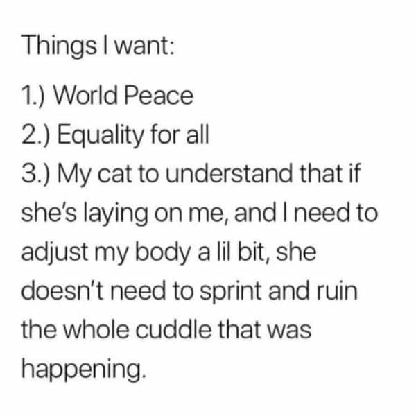 funniest memes of all time-429-01-09-2023 - Thunder Dungeon | The ...