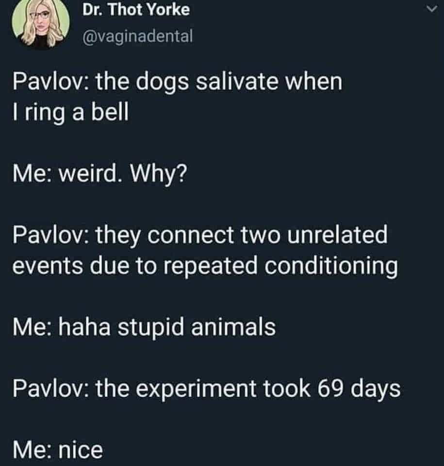 funniest memes of all time-491-01-08-2023 - Thunder Dungeon | The ...